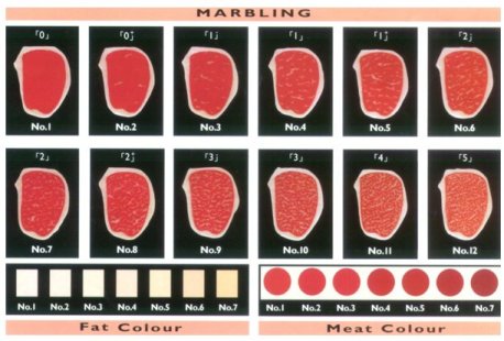 Ostrich Meat Grading – World Ostrich Association