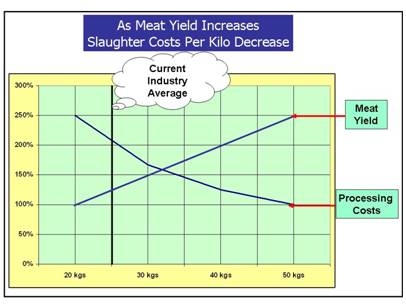 Six Ways to Increase Income – World Ostrich Association